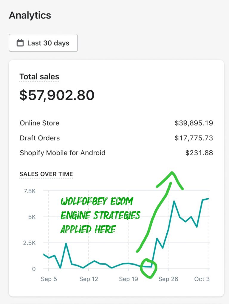 eCom Engine 2.0 – Special Offer - wolfofbey.com